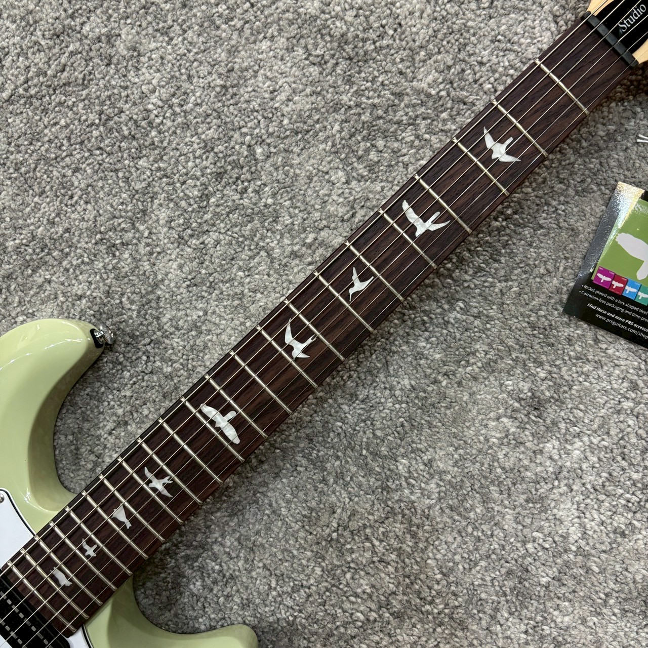 PRS SE STUDIO STANDARD SG 鼠尾草綠 | 反拍樂器